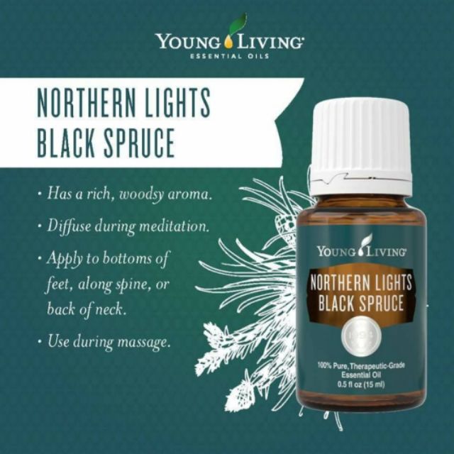 ORIGINAL YOUNG LIVING Northern Light Black Spruce | Shopee Malaysia