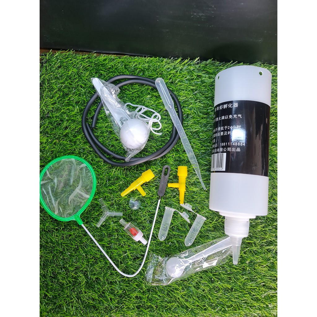 BBS Artemia Hatching SET Tetas menetas Set Bekas cysts Brine Shrimp ...