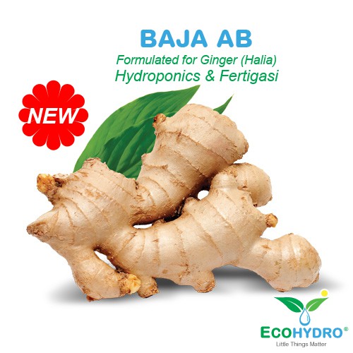 🔥NEW🔥 Baja Halia AB Fertigasi Halia Hydroponics Ginger Aeroponic ...