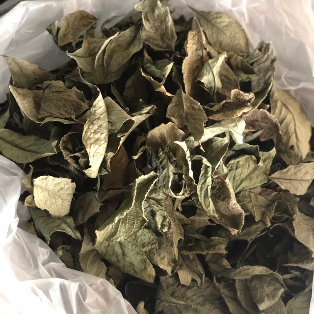 🍃 Teh Herba Pecah Kaca/ Teh Herba Pecah Beling/ Teh Herba Batu Jin🍃 50g ...
