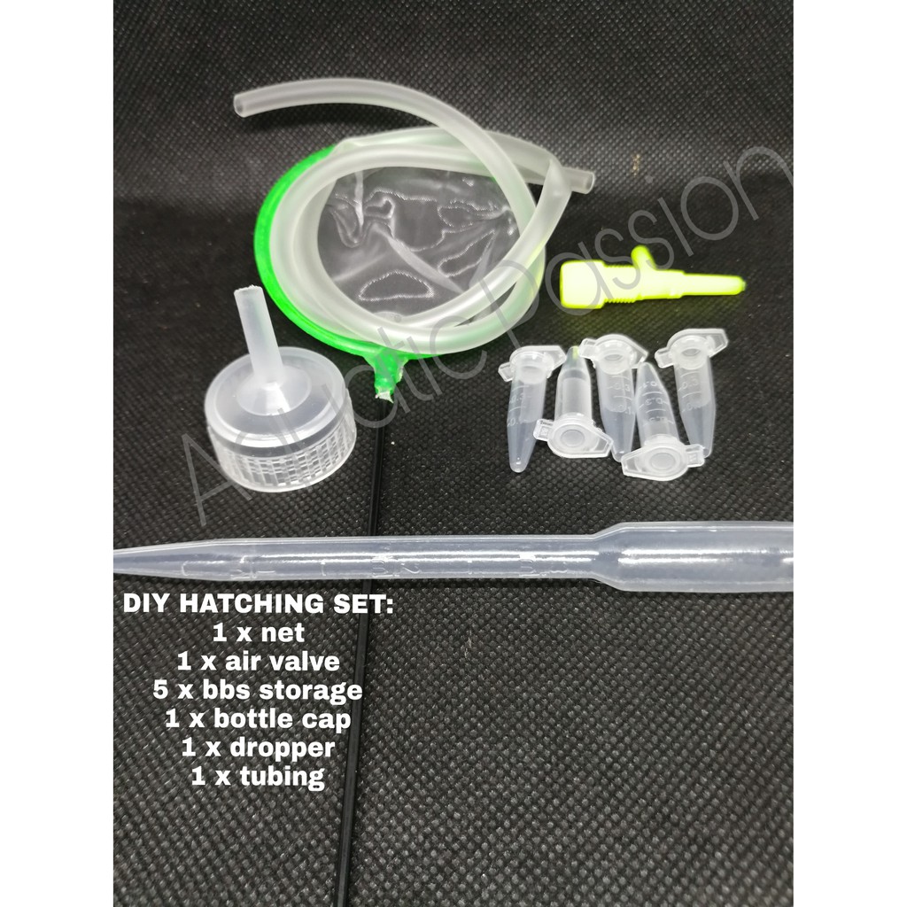 (Ready Stock) Artemia/BBS Hatching Kit DIY set-Set penuh tetas artemia ...