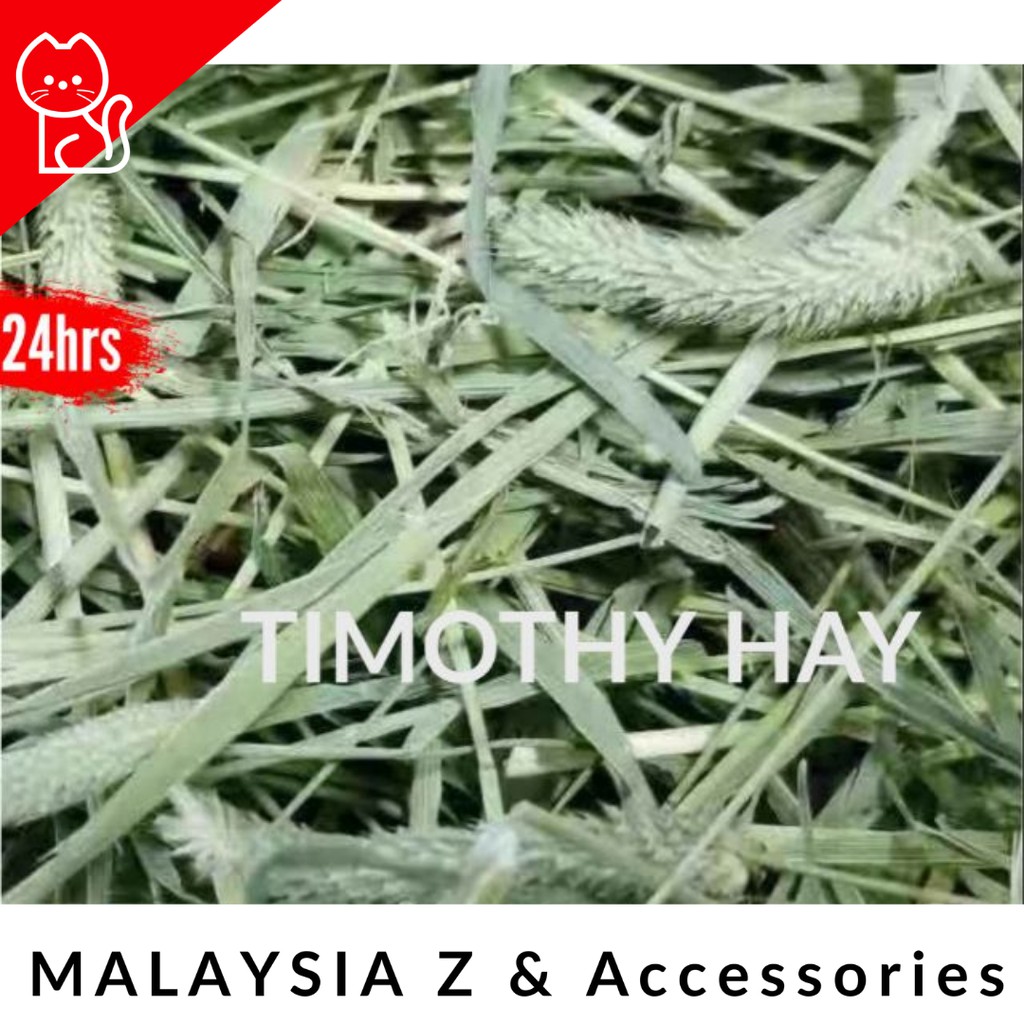 Penang TIMOTHY HAY Rabbit / Guinea pig Jerami Timothy 500g / 1kg ...