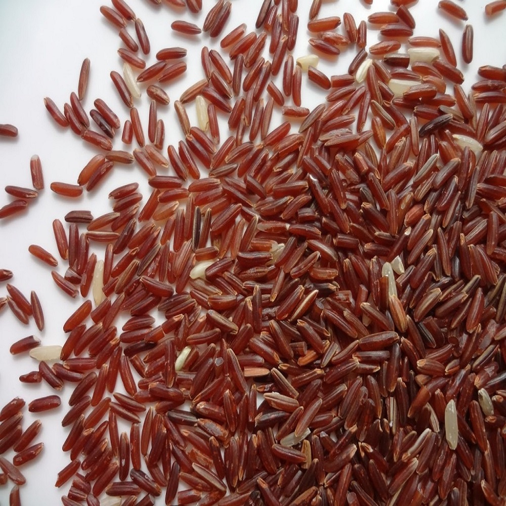 Thailand Red Brown Rice Siam Blood Dragon Brown Rice Thailand Beras ...