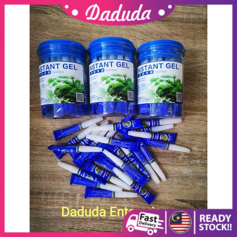 Aquarium 5g Coral Frags Water Plant Moss Fixed to Rock Aquarium Instant ...