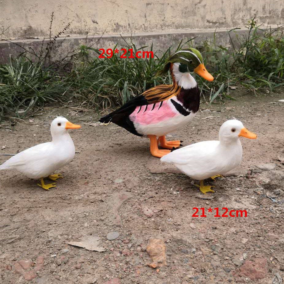 Model itik simulasi sains kognitif dan pendidikan kanak-kanak alat ...