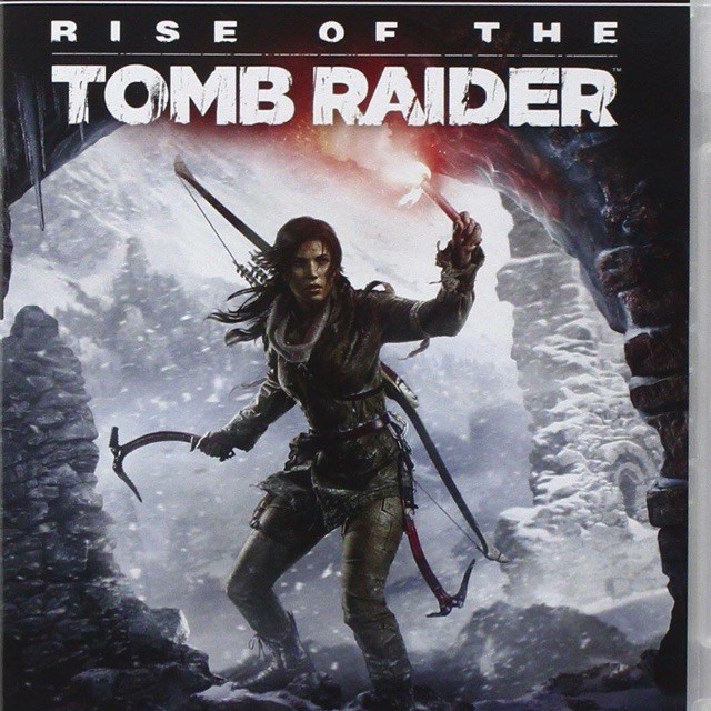 Rise of the Tomb Raider 20 Year Celebration - Offline PC game with DVD ...