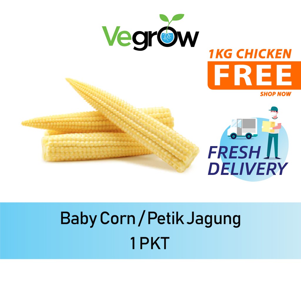 🔥FRESH 🔥Baby Corn / Petik Jagung 1 PKT | Shopee Malaysia