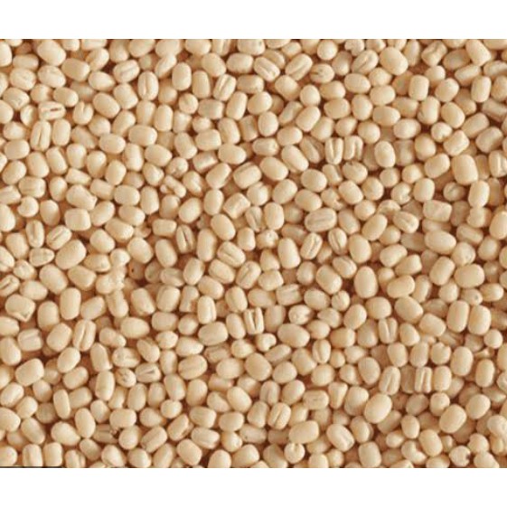 White Ulunthu / Kacang Dal Putih / White Lentil | Shopee Malaysia