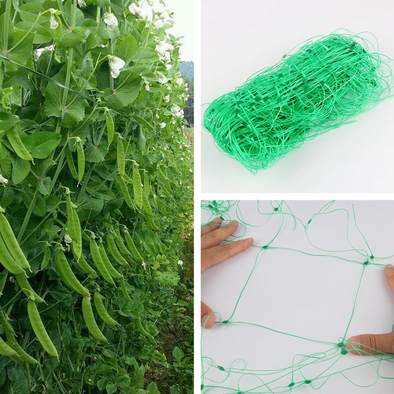 1/5pcs Climbing Plant Net 15x15cm Garden Netting Fruit Flower Support ...