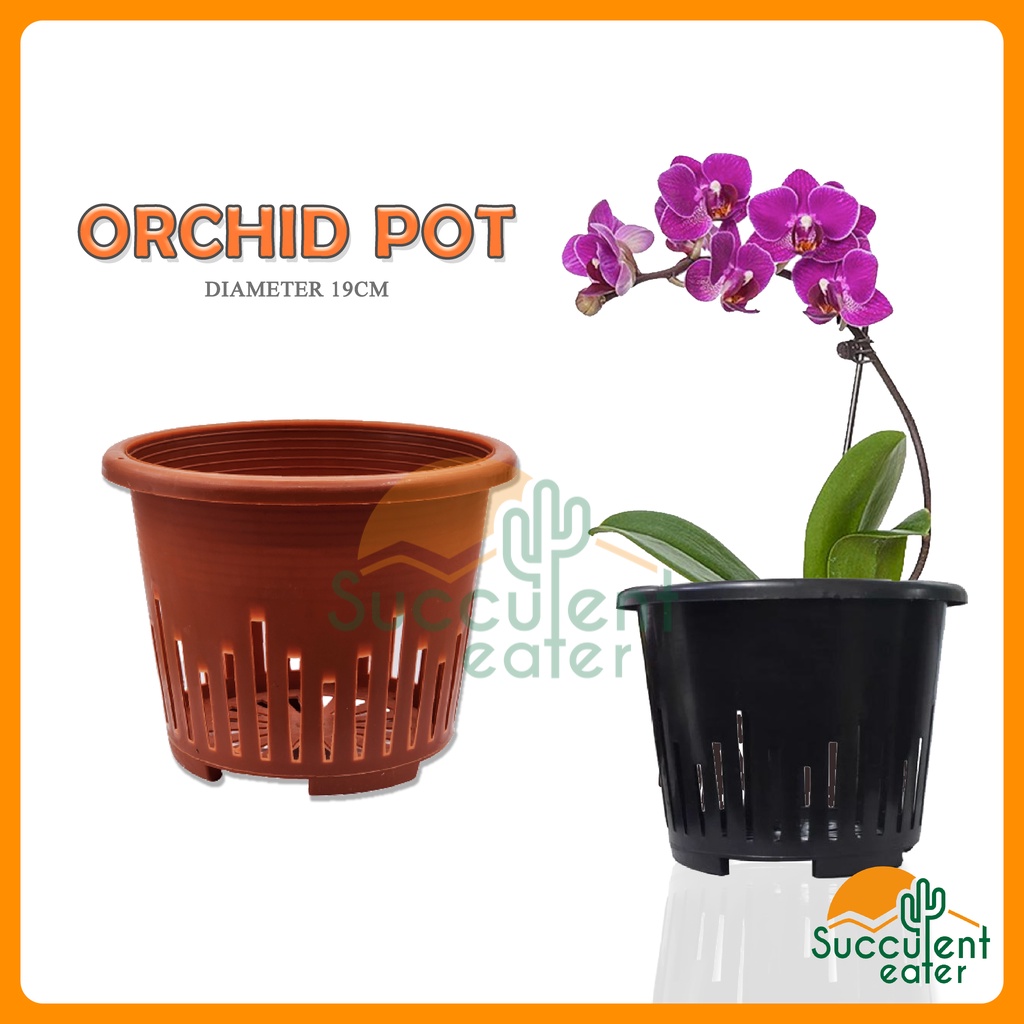 19CM Orchid Plastic Flower Pot Pasu Bunga Okid Gafri 蝴蝶兰花盆 | Shopee ...
