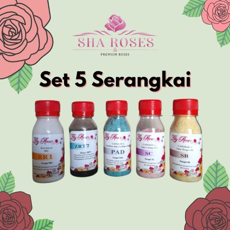 SET SEMBURAN 5 SERANGKAI/ROSE TREATMENTS ZETY ROSES | Shopee Malaysia