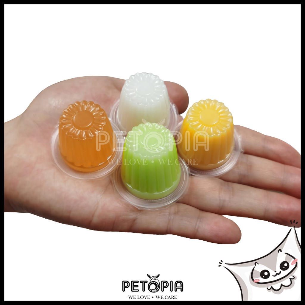 Exotic Nutrition Nectar Pods [Assorted Flavors] | PETOPIA Sugar Glider ...
