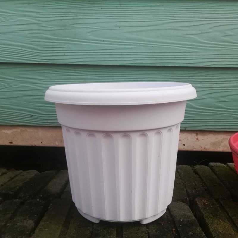 Baba's Stripe (L) (Pasu Putih) | Shopee Malaysia