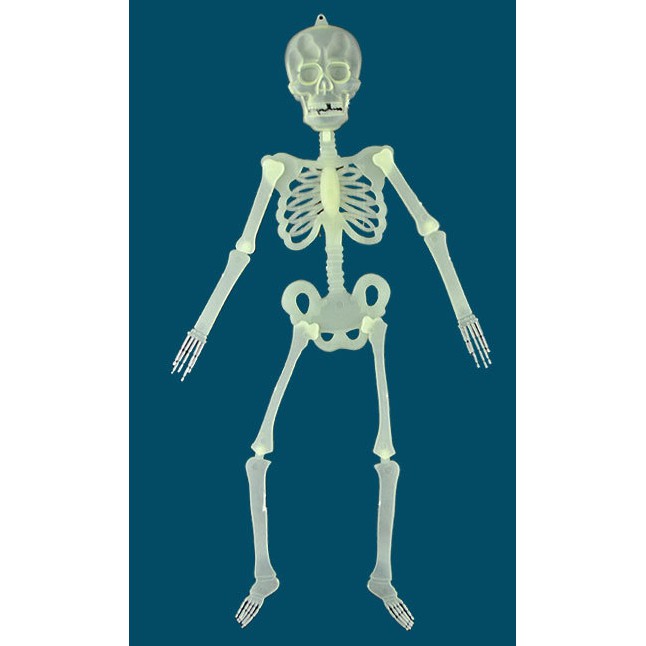 MSIA Ready Stock/ Halloween Glow In The Dark Skeleton GID Frame ...