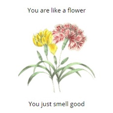 humorous e-cards ( for fun ) | Shopee Malaysia