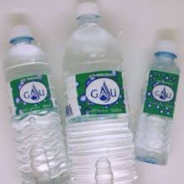 Air Gau 250ml / air telaga gau / air mineral semulajadi | Shopee Malaysia