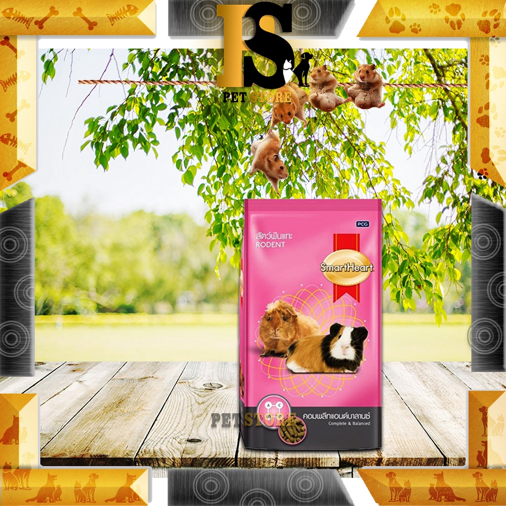 Smart Heart Rodent Guinea Pig Hamster Food 1kg | Shopee Malaysia