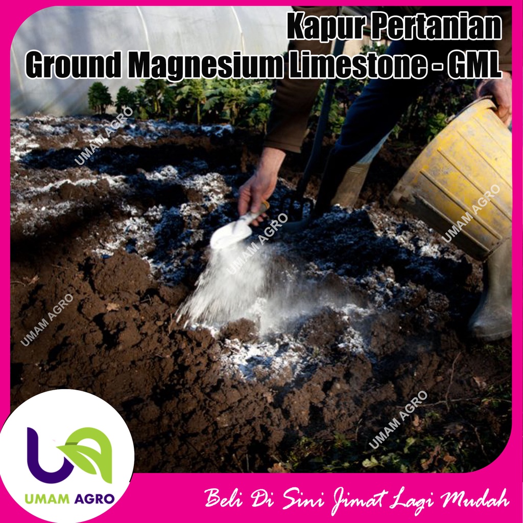 Kapur Pertanian/ Kapur Neutral Tanah (Ground Magnesium Limestone - GML ...