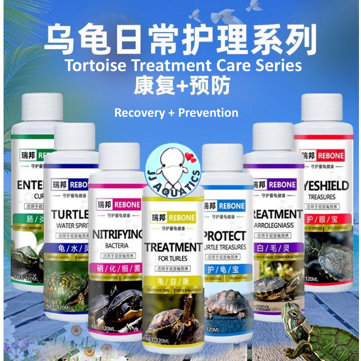 🔥Ready Stock🔥Rebone Tortoise Turtle Healthcare White Fur Ulcers Shelf ...