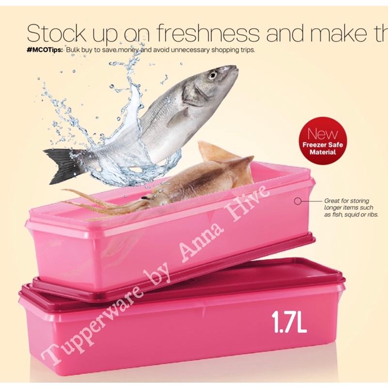 Tupperware Slim Freezer Keeper (1) 1.7L | Shopee Malaysia