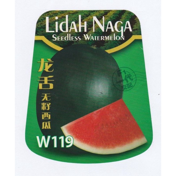 Benih Tembikai Merah Lidah Naga Seedless Watermelon W119 Star Plant - ( 20g ) 👍 💯 | Shopee Malaysia