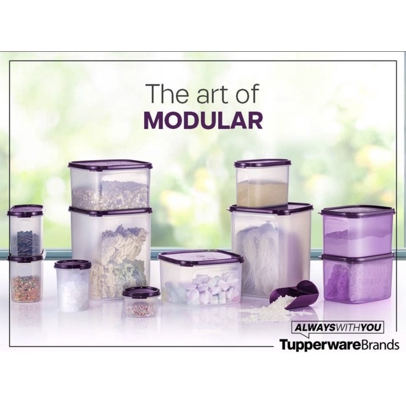 Tupperware Modular Mates (Single Item/Not in Set) - Please Choose ...