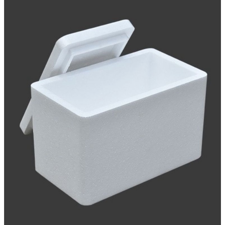 Polystyrene Box + Ice Pack | Shopee Malaysia