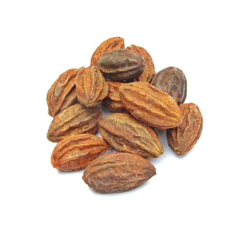 Big Kadukkai , Haritaki 50g (India) | Shopee Malaysia