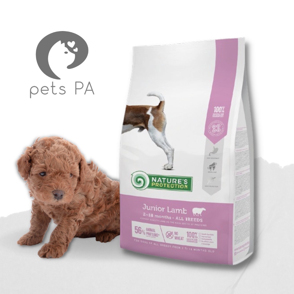 Nature's Protection | Lamb | Junior Dog Foods (2KG) | Shopee Malaysia