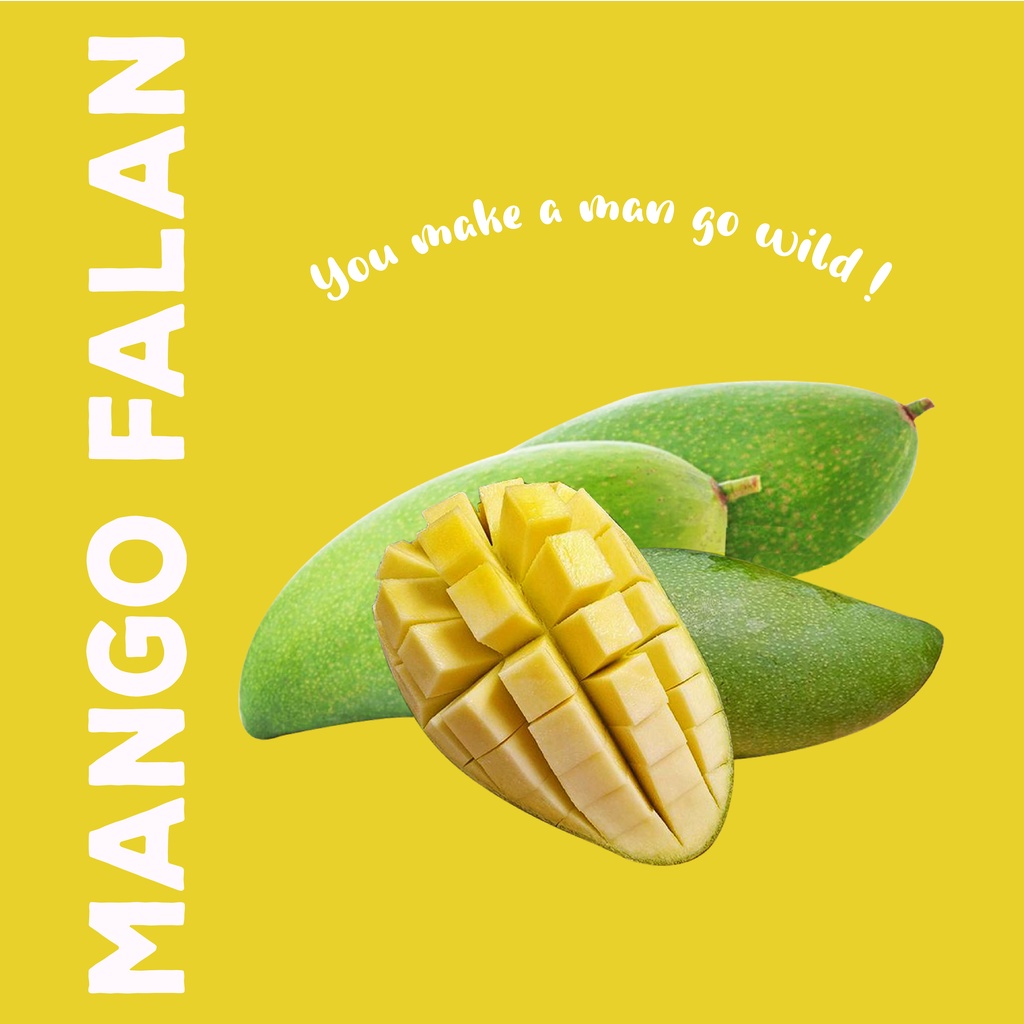 [KLANG VALLEY ONLY 只限雪隆区] Thai Mango Falan (2kg) | Shopee Malaysia