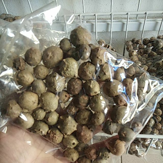 💥💥100 GRAM Biji Manjakani 100gram💥💥 | Shopee Malaysia