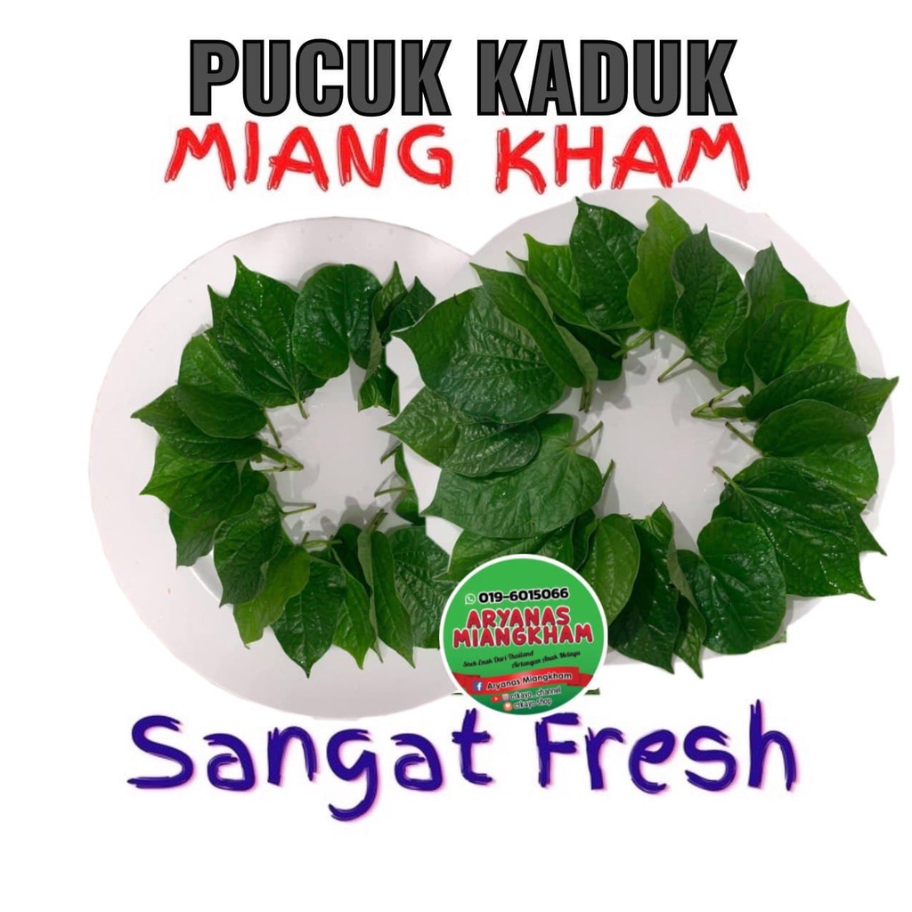 20 SEN SAHAJA DAUN KADUK MIANG KHAM SALAD THAI ULAM WILD PIPER . SIREH ...