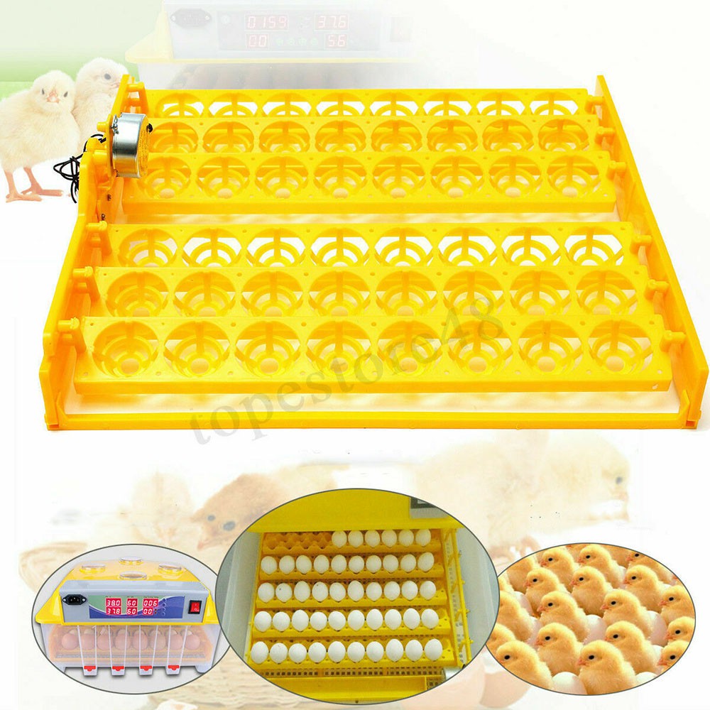 [HOMYLcfMY] Automatic 56 Quail Egg Turner Tray w/ 220V Motor | Shopee ...