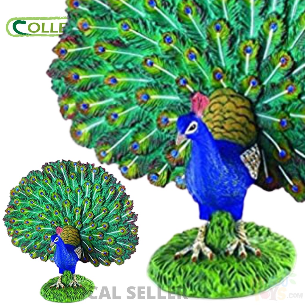 Peacock - CollectA 88209 Wild Life Animal Action Figurine / Toy Figure ...
