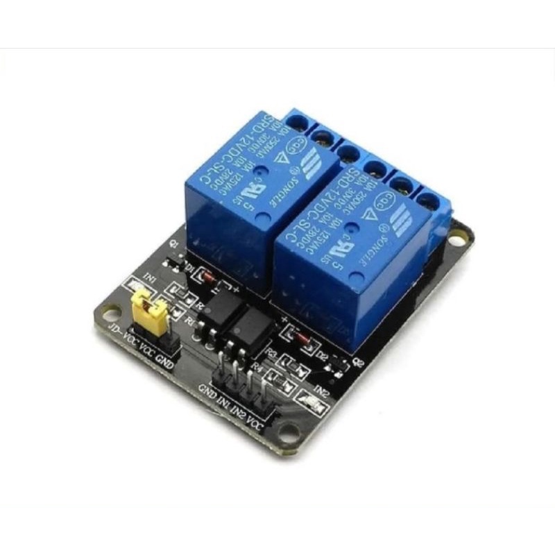 Relay Module 2 Channel 12V DC | Shopee Malaysia