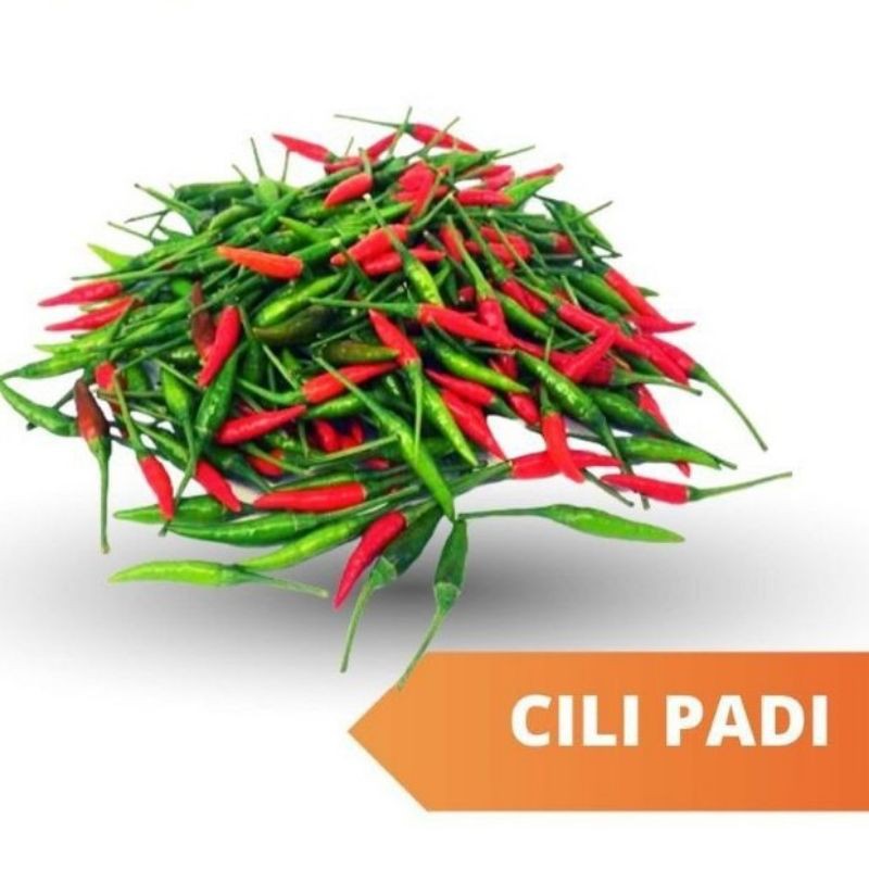 CILI PADI SEGAR CAMPUR | FRESH CILI PADI MIX - 1 PACK (100 GRAM ...