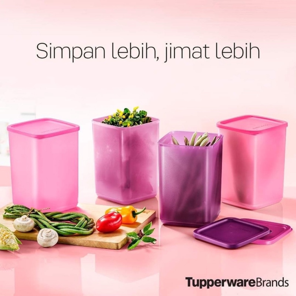 Tupperware Double So Fresh Rectangular 3.1L 1.4L 2.2L So Fresh Canister ...