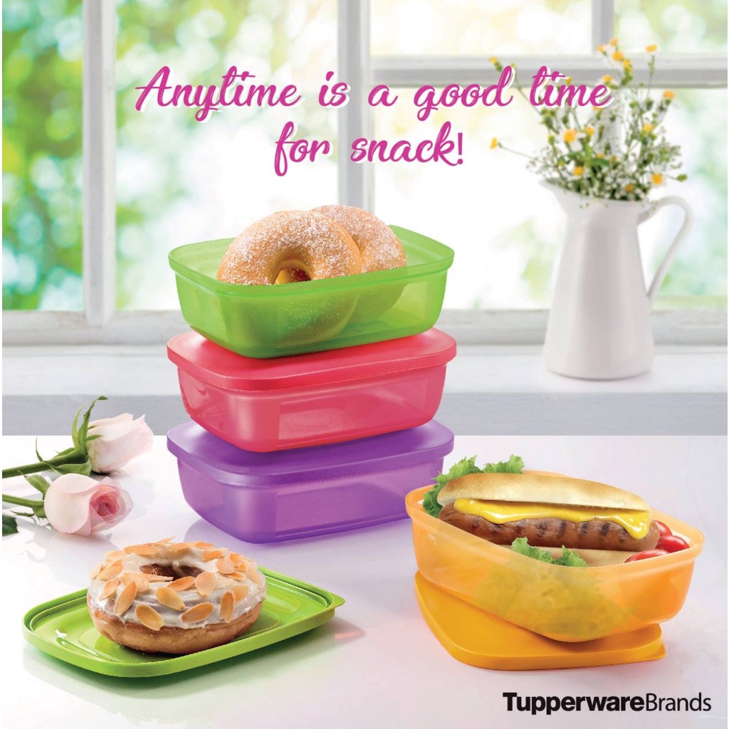 8 Colour: Tupperware Small Rectangular Saver 500ml Lunch Box for Kid ...