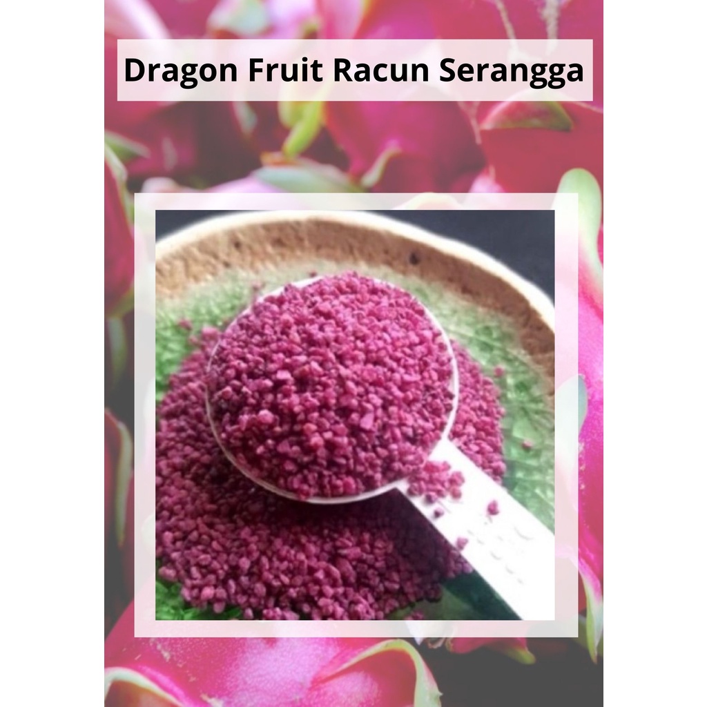 𝗗𝗿𝗮𝗴𝗼𝗻 𝗙𝗿𝘂𝗶𝘁 Insecticide (buah naga dinotefuran 1% pesticide) Not ...