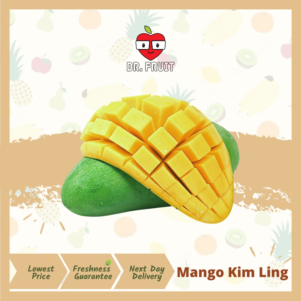 *Super Promotion* Mango Green Kim Ling (700g - 800g) - 1pc 金龙芒果(青) | Dr ...