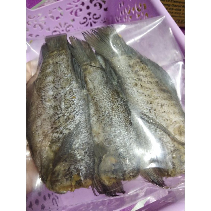 IKAN MASIN SEPAT HOMEMADE 200G 💯 HALAL DAN BERSIH | Shopee Malaysia
