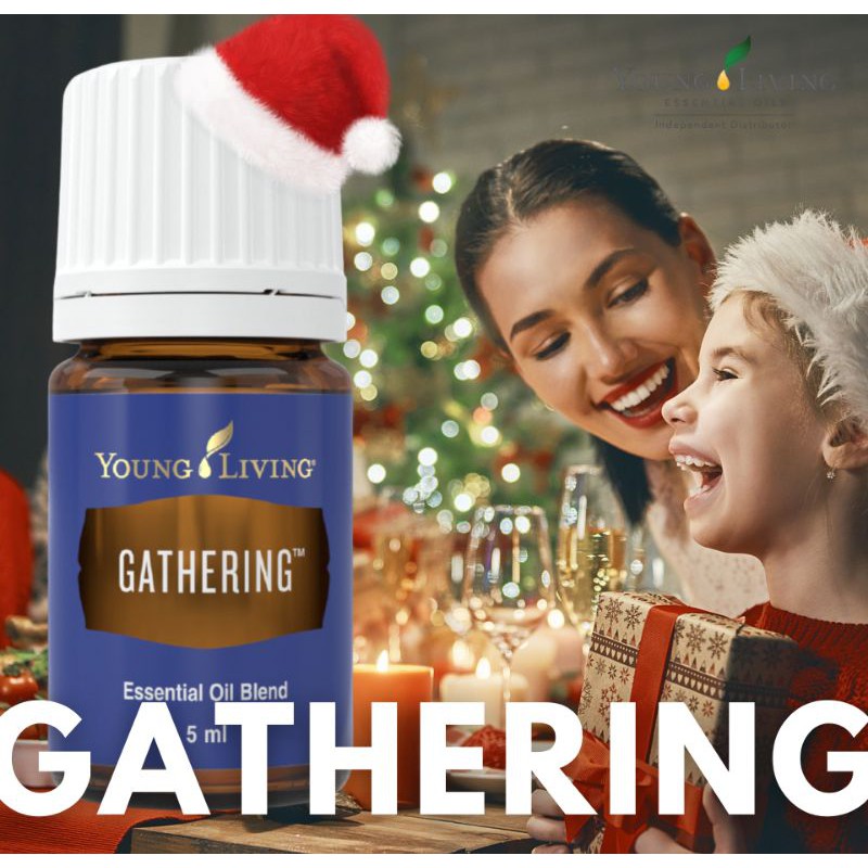 Young Living Gathering Essential Oil Blends 5ml | Shopee Malaysia