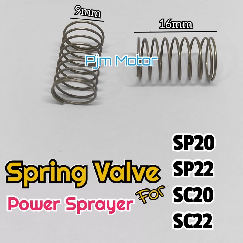 MESIN Sp20 valve spring valve assy power sprayer engine steam pump stim ...