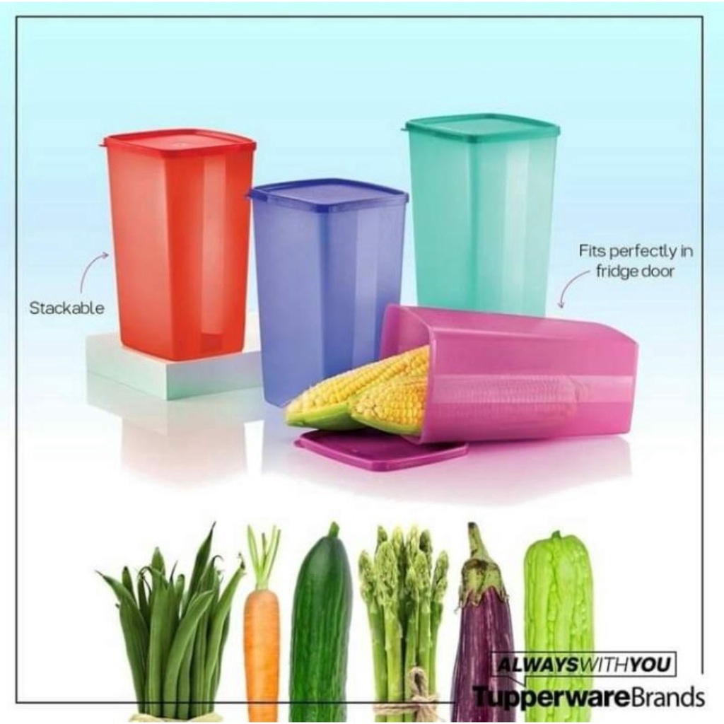 2 colour: Tupperware Double So Fresh Rectangular 3.1L / 1.4L/ Four ...