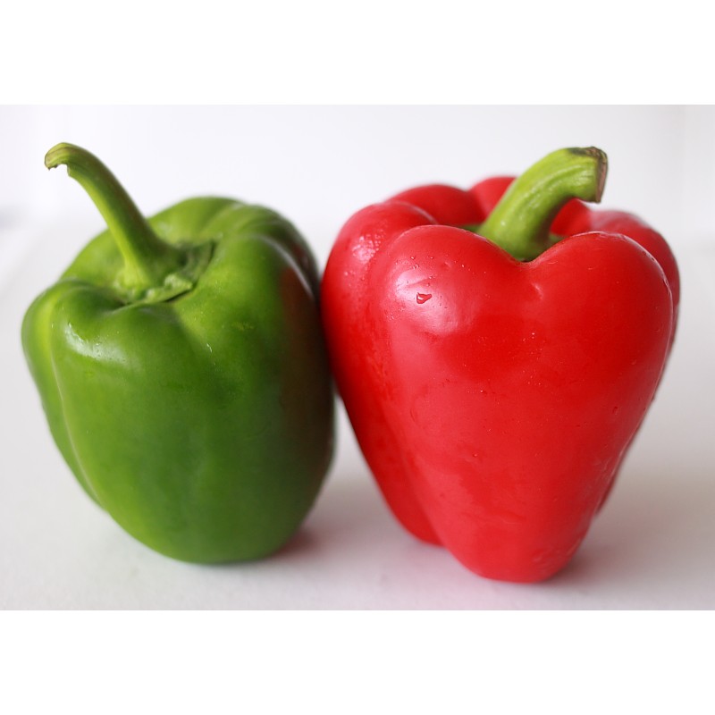 Benih Lada Manis - Cili Bengala / Capsicum Seed - Ready Stock | Shopee ...