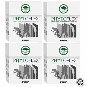 PHHP Phytoflex Value Pack 4 Boxes (Natural) (For bones and joints pain ...