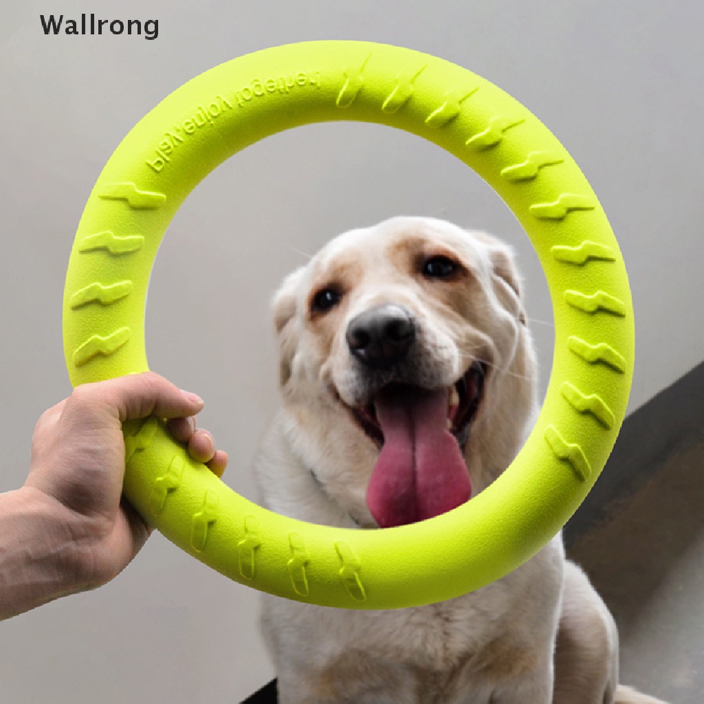 Wallrong> Indestructible Rubber Training Ball Pet Dog Toy With Carrier ...