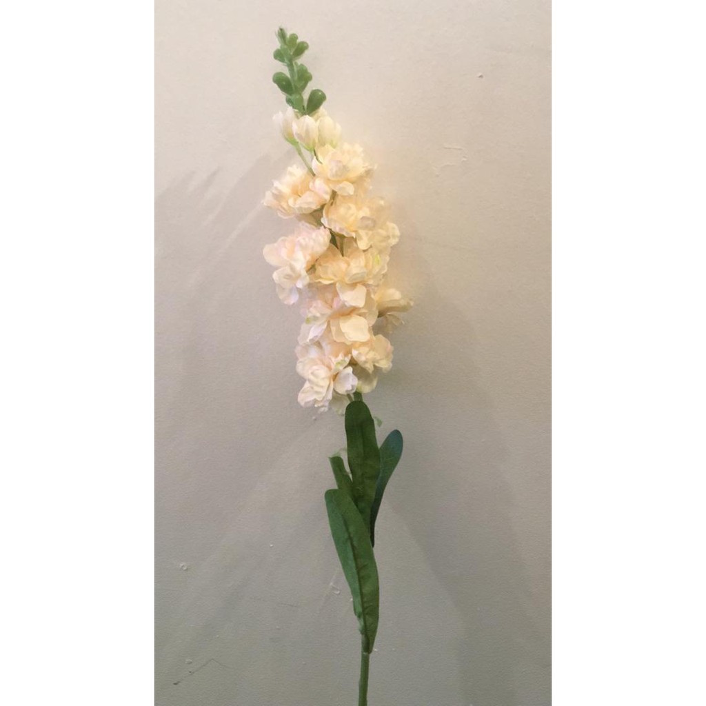 Matthiola - PEACH (85 cm) | Shopee Malaysia