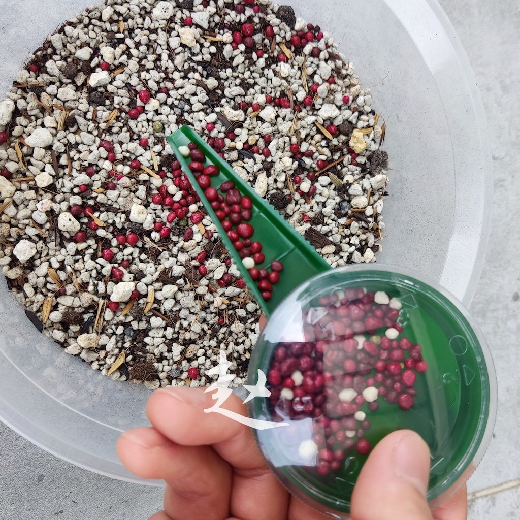 ZHAO Fertilizer Insecticide Spreader Cactus Succulent Gardening Tools ...