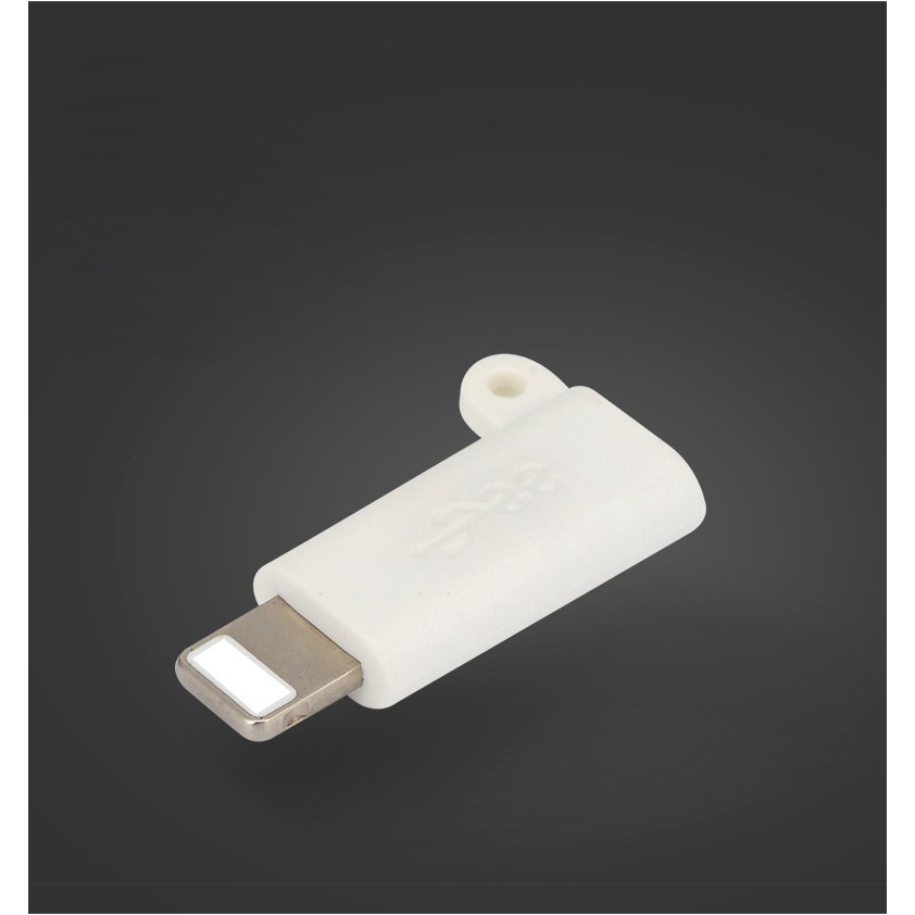 Keychain-shaped adapter from USB-C to ip | Shopee Malaysia